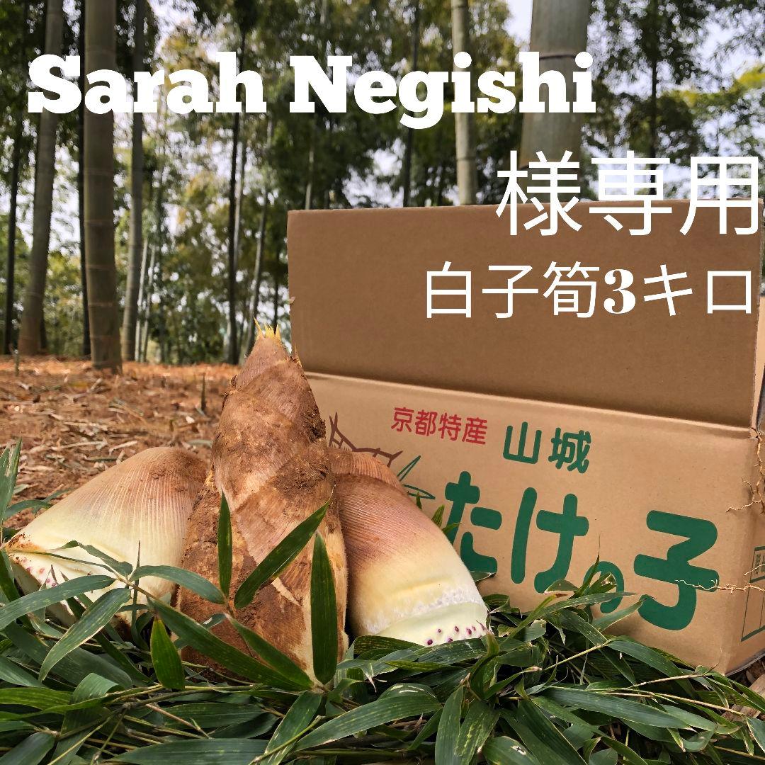 sarah Negishi 白子筍3キロクール