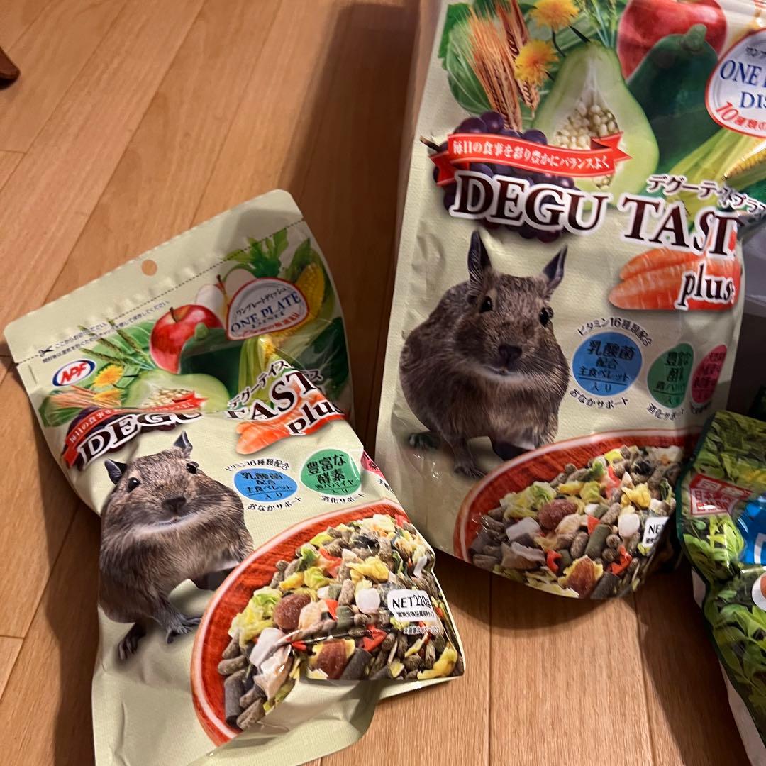 デグー　DRGU 飼育セット　餌　サンド　シートなど