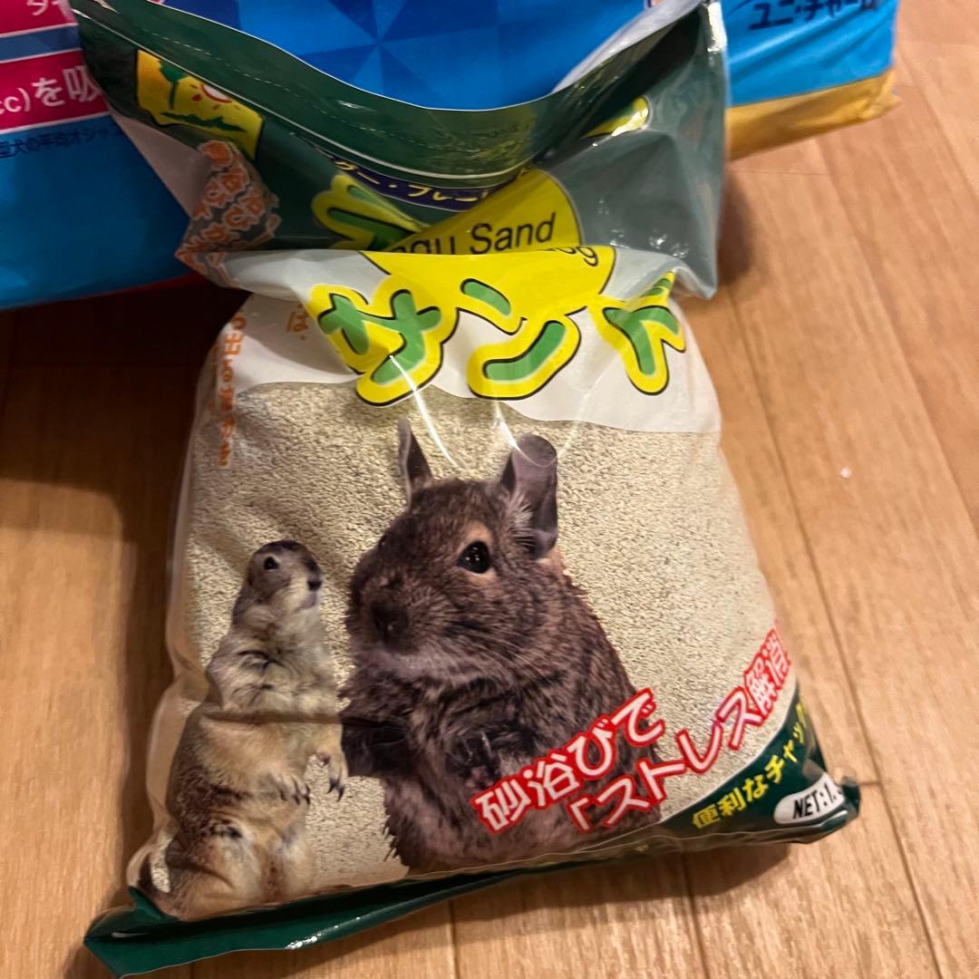 デグー　DRGU 飼育セット　餌　サンド　シートなど