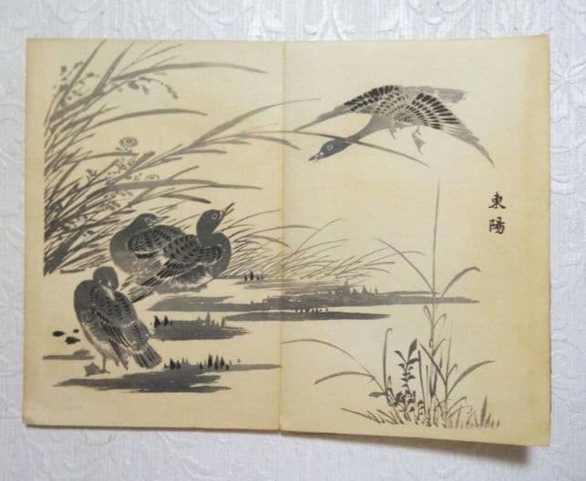 彩色木版画画帖本竹洞花鳥畫譜初版中林竹洞名古屋の江戸後期の画家安永5年～嘉永6年