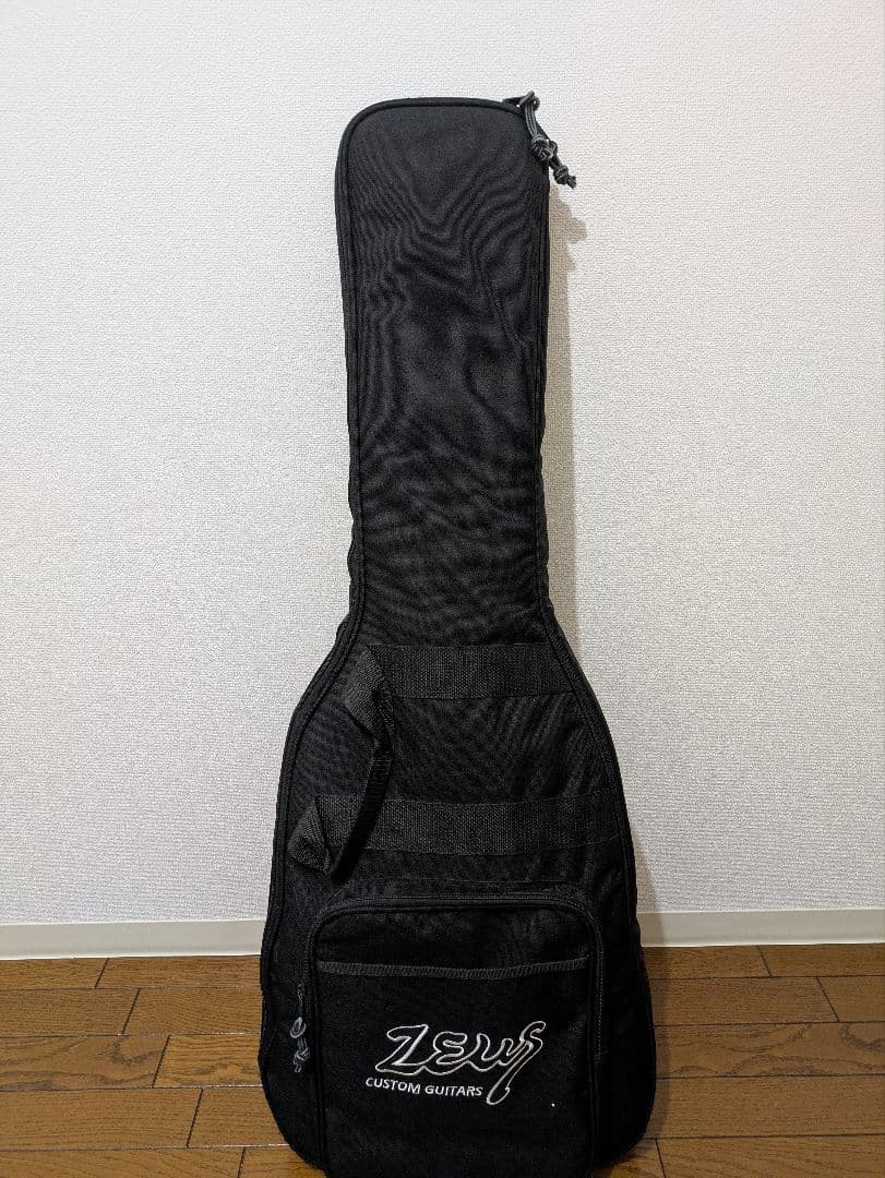 ギター SCHECTER NV-3-24-AS