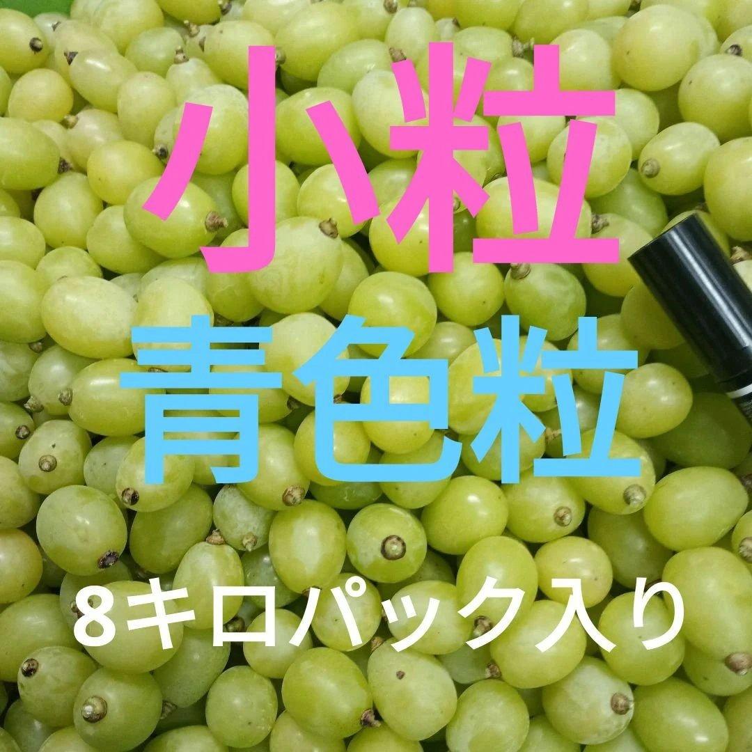 シャインマスカット::小粒青色の、徳用8キロ入りの粒バック入りになります。