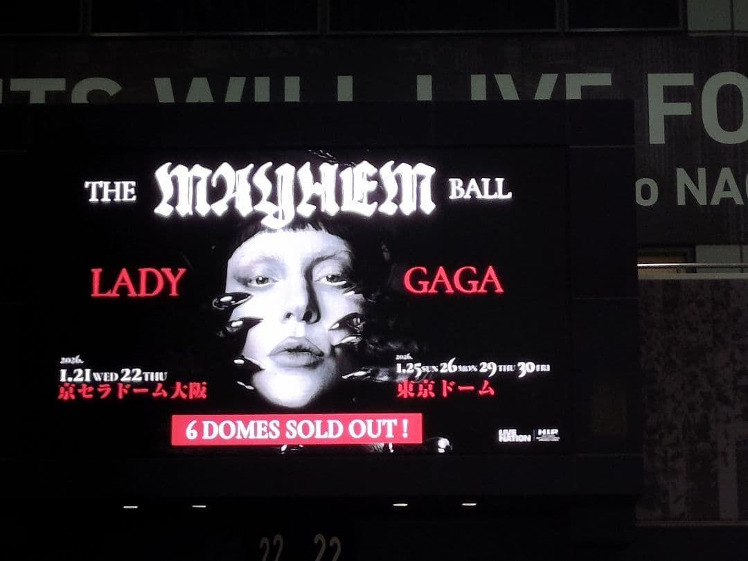 Lady Gaga Mayhem Ball ツアーTシャツ　　　Mサイズ