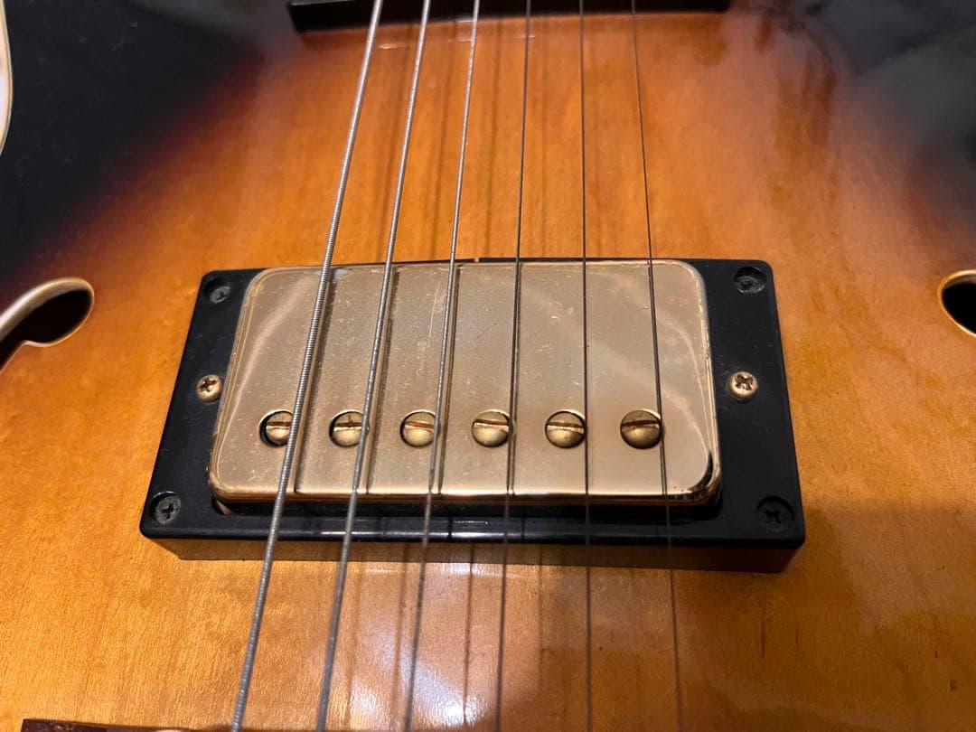 Aria Pro II PE-175 ハーブエリスモデル　ケースなし