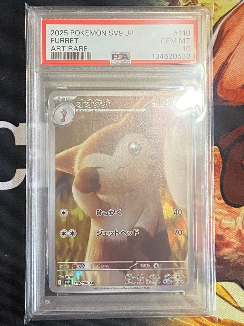 【PSA10】ポケモンカード オオタチ AR sv9 バトルパートナーズ
