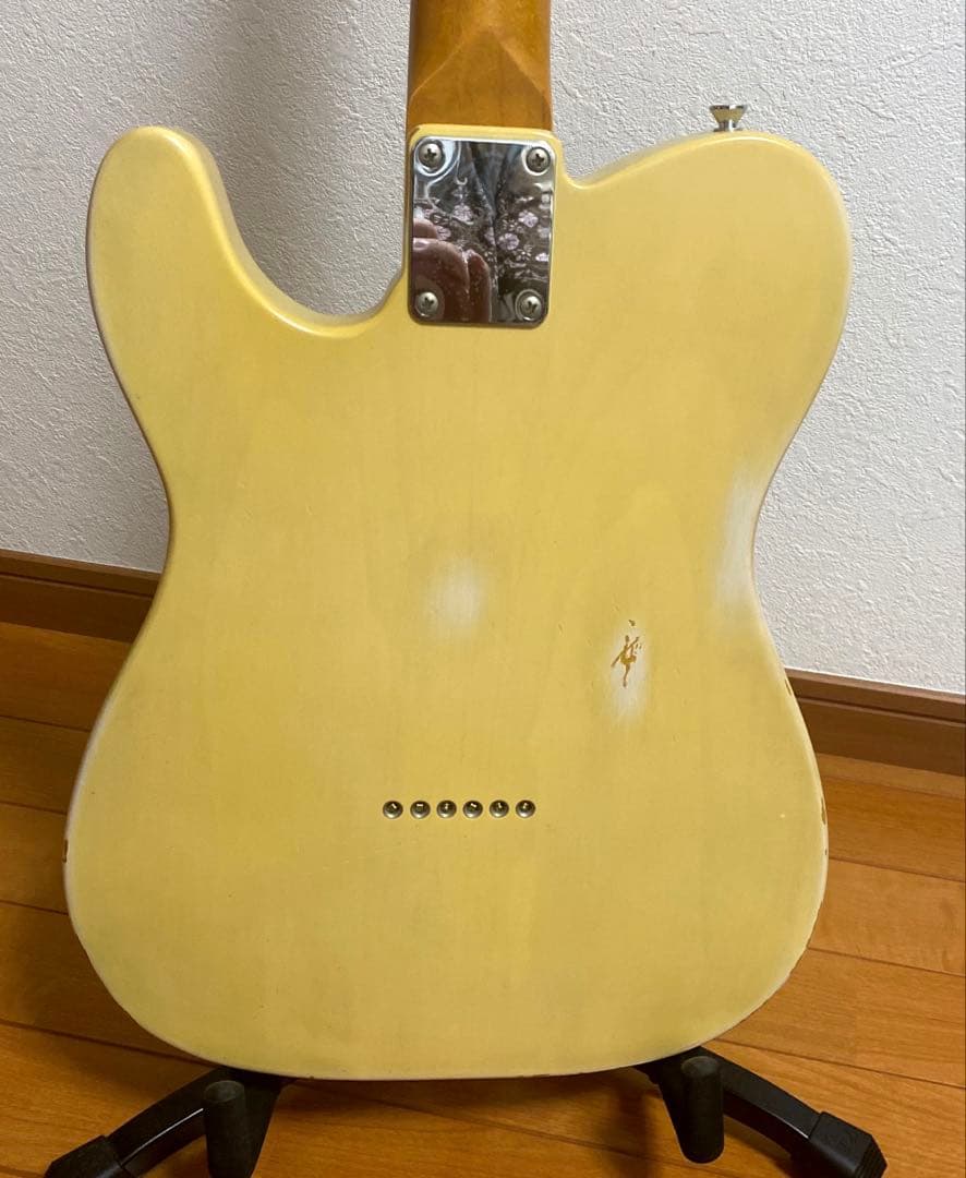 EDWARDS テレギブ　ESP