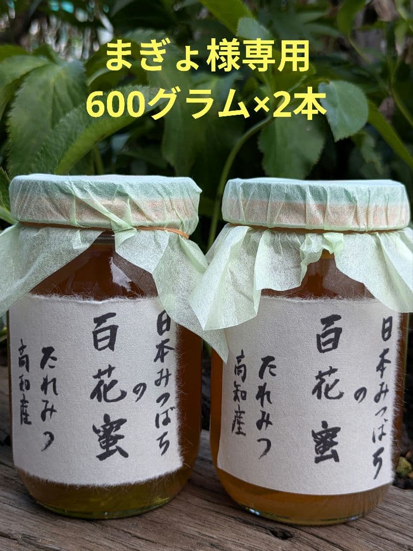 日本ミツバチ 蜂蜜 令和7年度 採れたて　たれ蜜　2年もの600g×2 非加熱