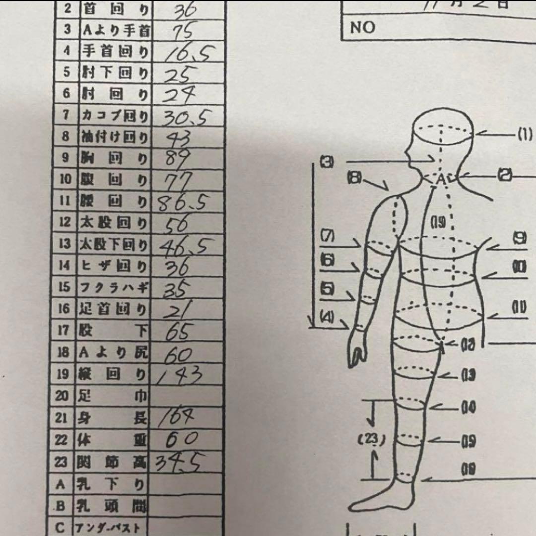 AXXE CLASSIC バックジップ　シーガル 3/2mm MTZ