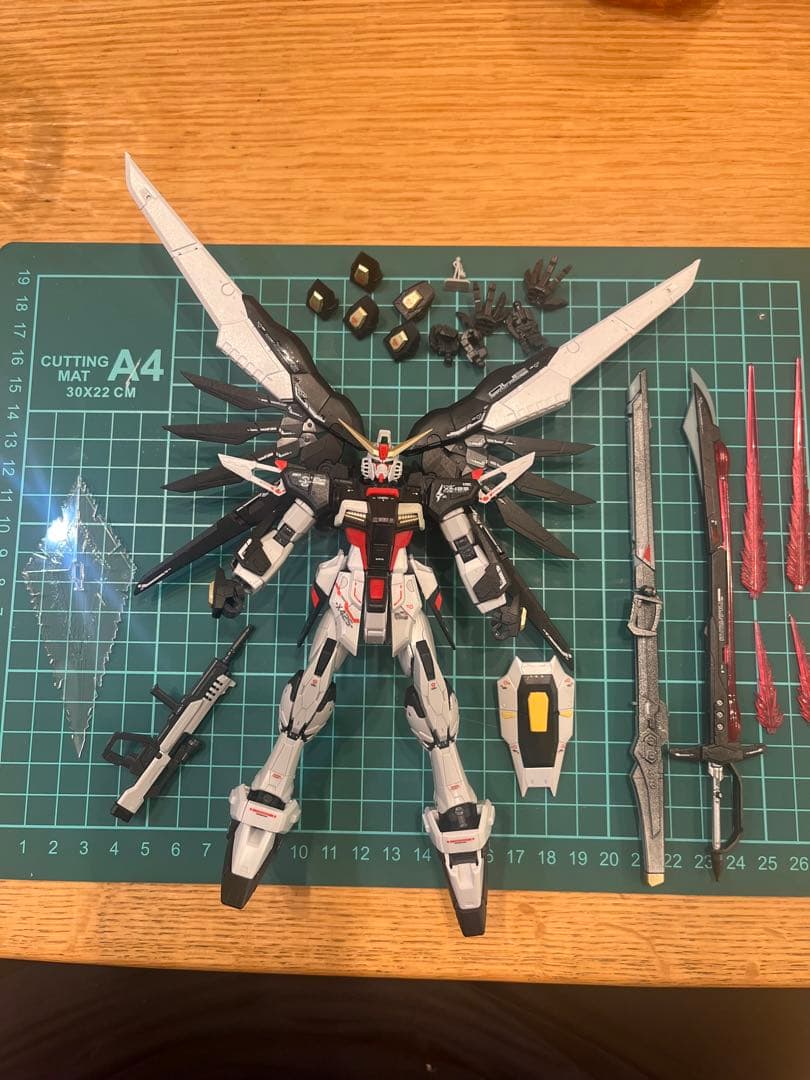 RG デスティニーガンダム全塗装完成品