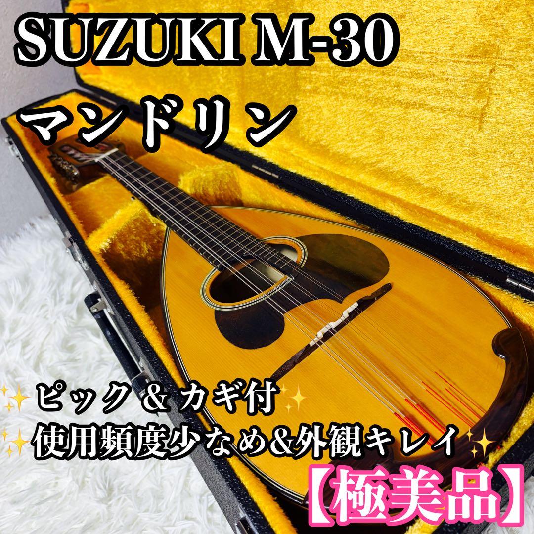 【極美品】SUZUKI マンドリン　M-30 ハードケース　スズキ