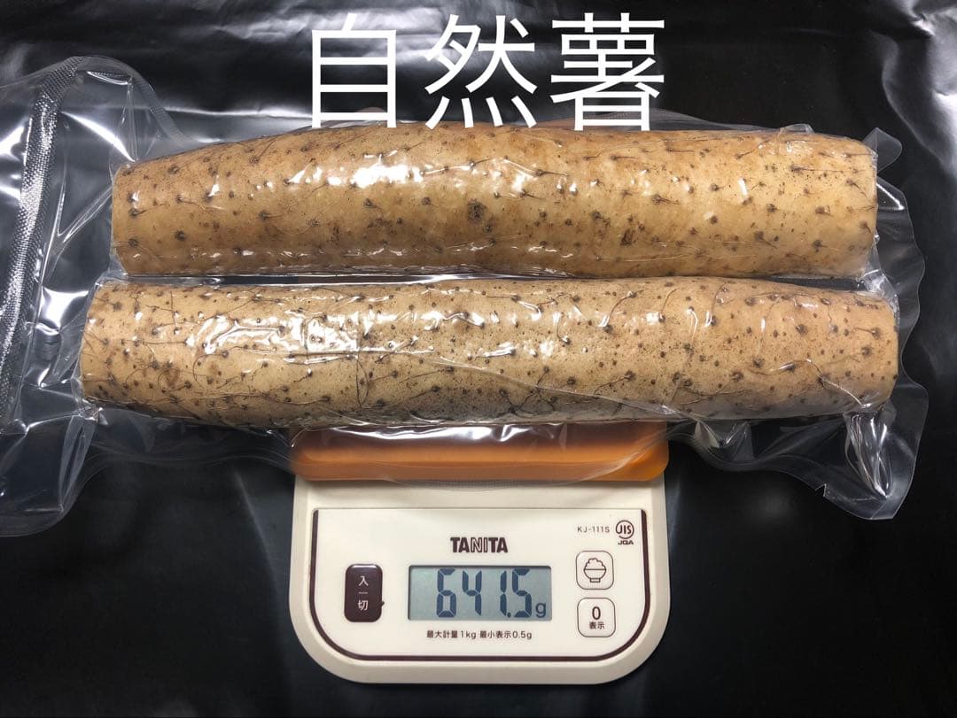 栃木県産自然薯 20kg 真空パック