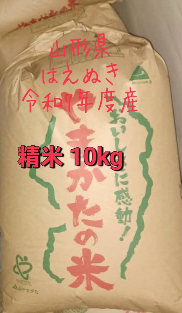 山形県 はえぬき 精米 10kg