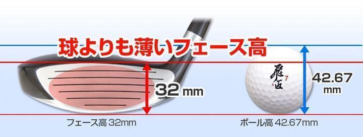 【ヘッドのみ】1.2番FWも! 優しい超大型激飛び2オン兵器◆ フォーサイトFW