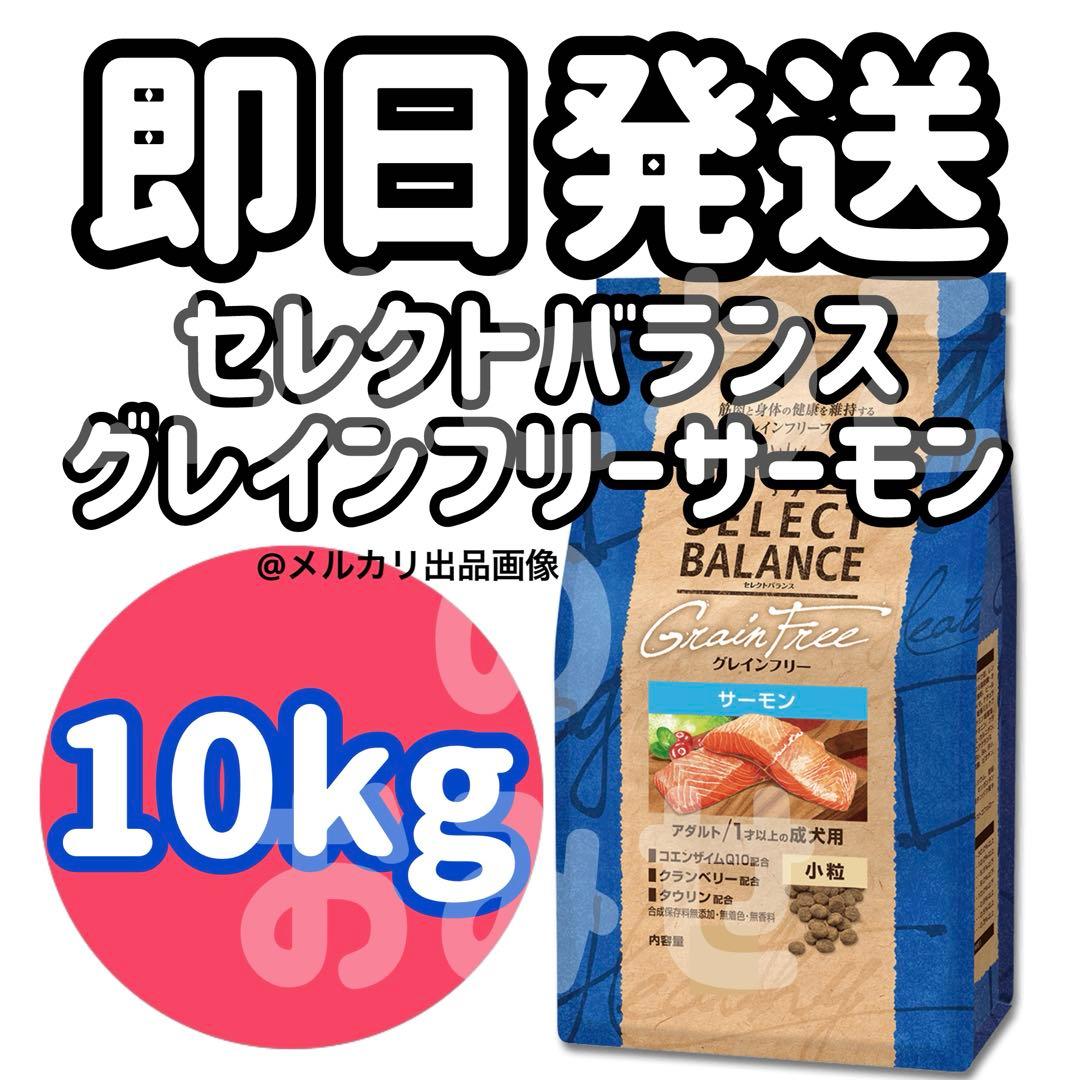 【10kg】セレクトバランス グレインフリー サーモン ドックフード