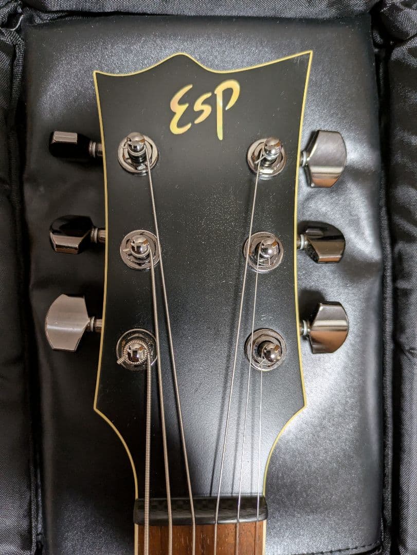 ESP Viper カラーオーダー 値下げ交渉歓迎