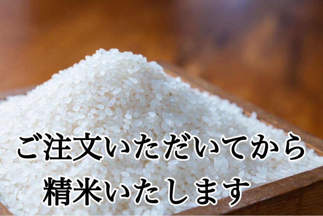 つや姫　10kg 山形　令和7年　特別栽培米