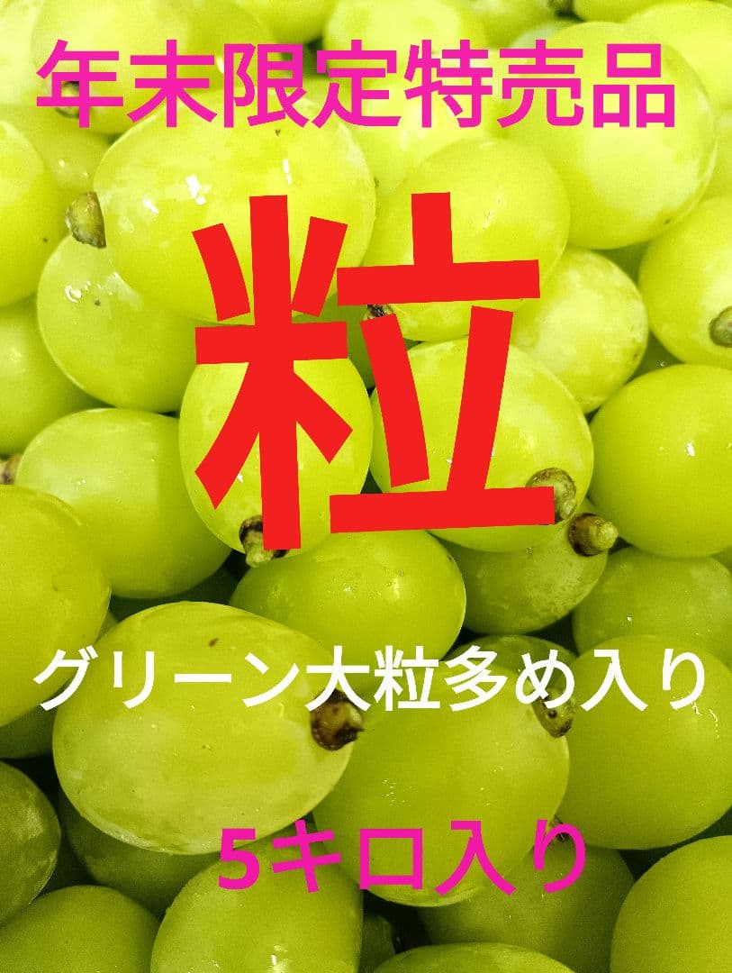 年末限定特売品シャインマスカット5キロ入りの粒バック入りになります。