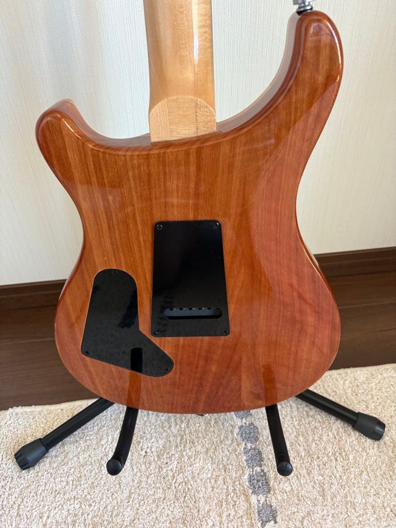 PRS seカスタム24