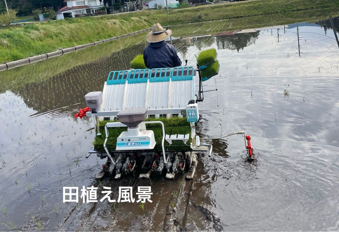 玄米　20kg 農家直送　コシヒカリ　 広島県産