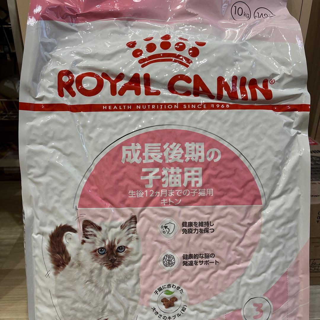 ロイヤルカナン CANIN 子猫用ドライフード 10kg