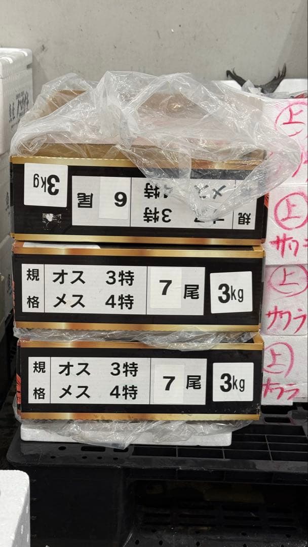 北海道産ボイルオオズワイ！特大！　冷凍　500g前後　3k6匹入