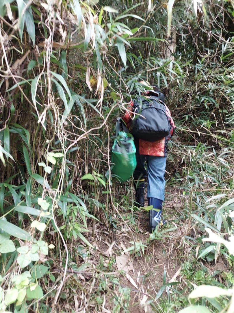 はちみつ　日本蜜蜂のハチミツ　奥山の奥の蜂蜜　国産蜂蜜愛媛産