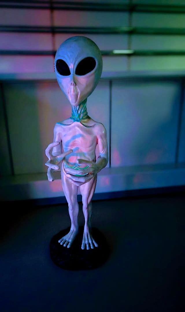 その他 Grey type Alien figure modeled object