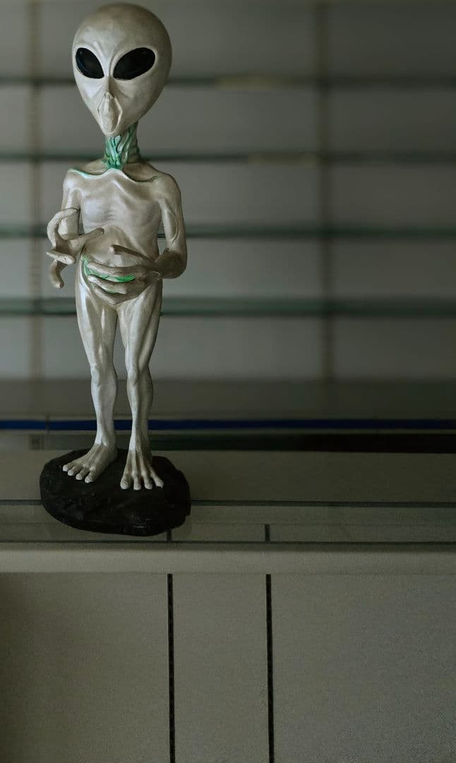 その他 Grey type Alien figure modeled object