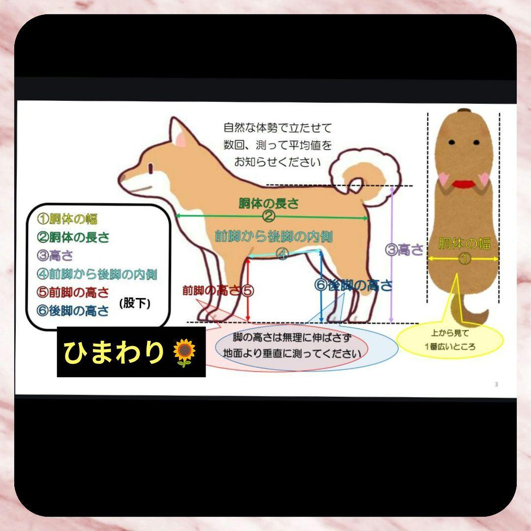 ワンちゃん4輪　リハビリ　食事補助　犬用車椅子　床ずれ防止　犬の歩行器
