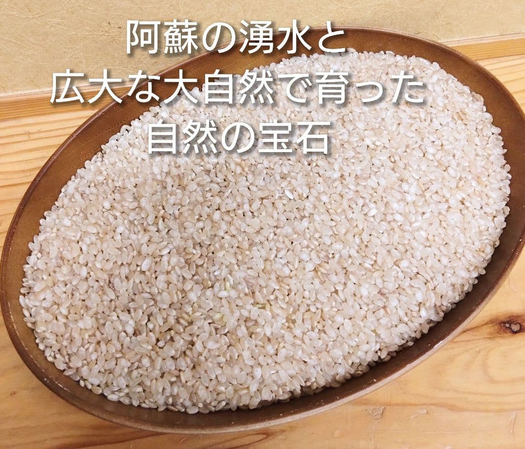 1 R7年 自然栽培米 2品種食べ比べセット10kg（5kg×2）玄米 セット
