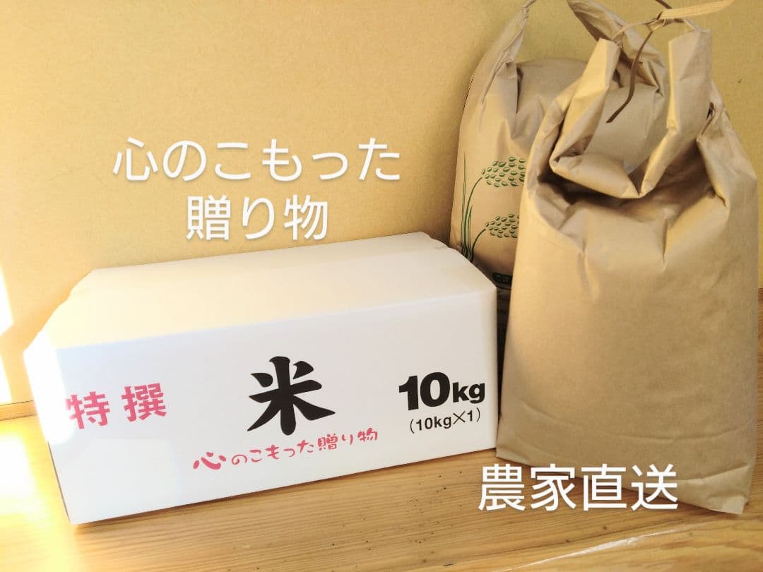 1 R7年 自然栽培米 2品種食べ比べセット10kg（5kg×2）玄米 セット