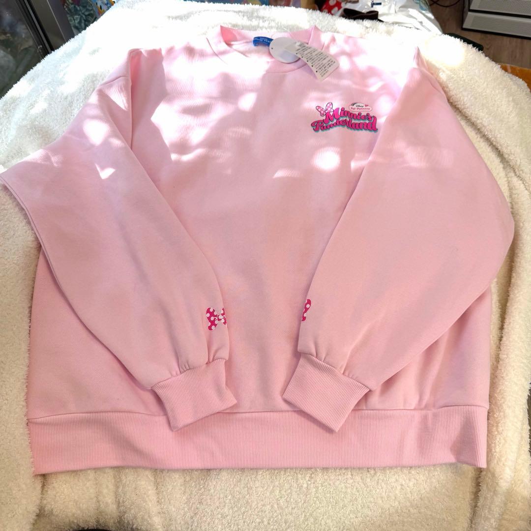 ミニー　パルパルーザ 20点