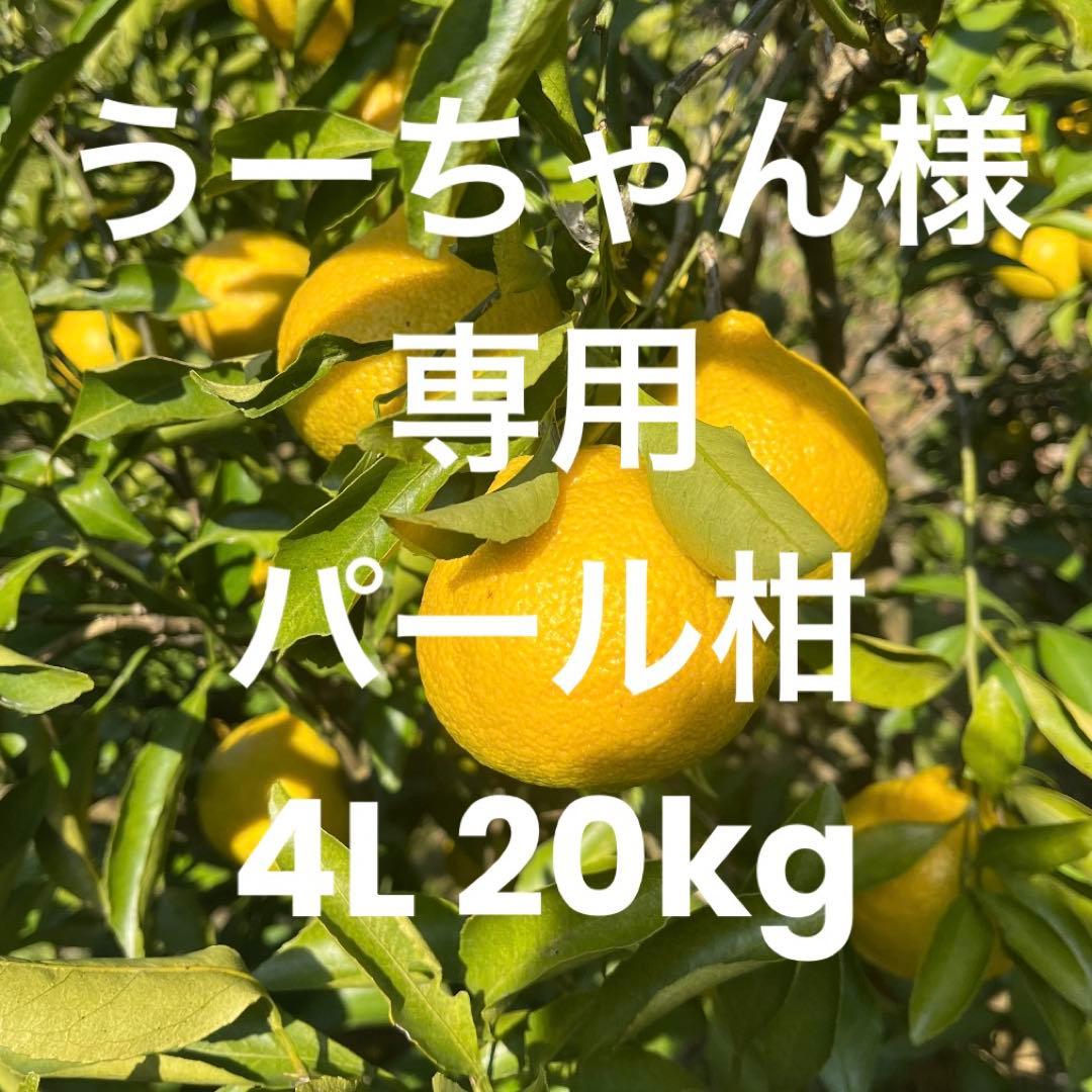 うーちゃんパール柑4L20kg