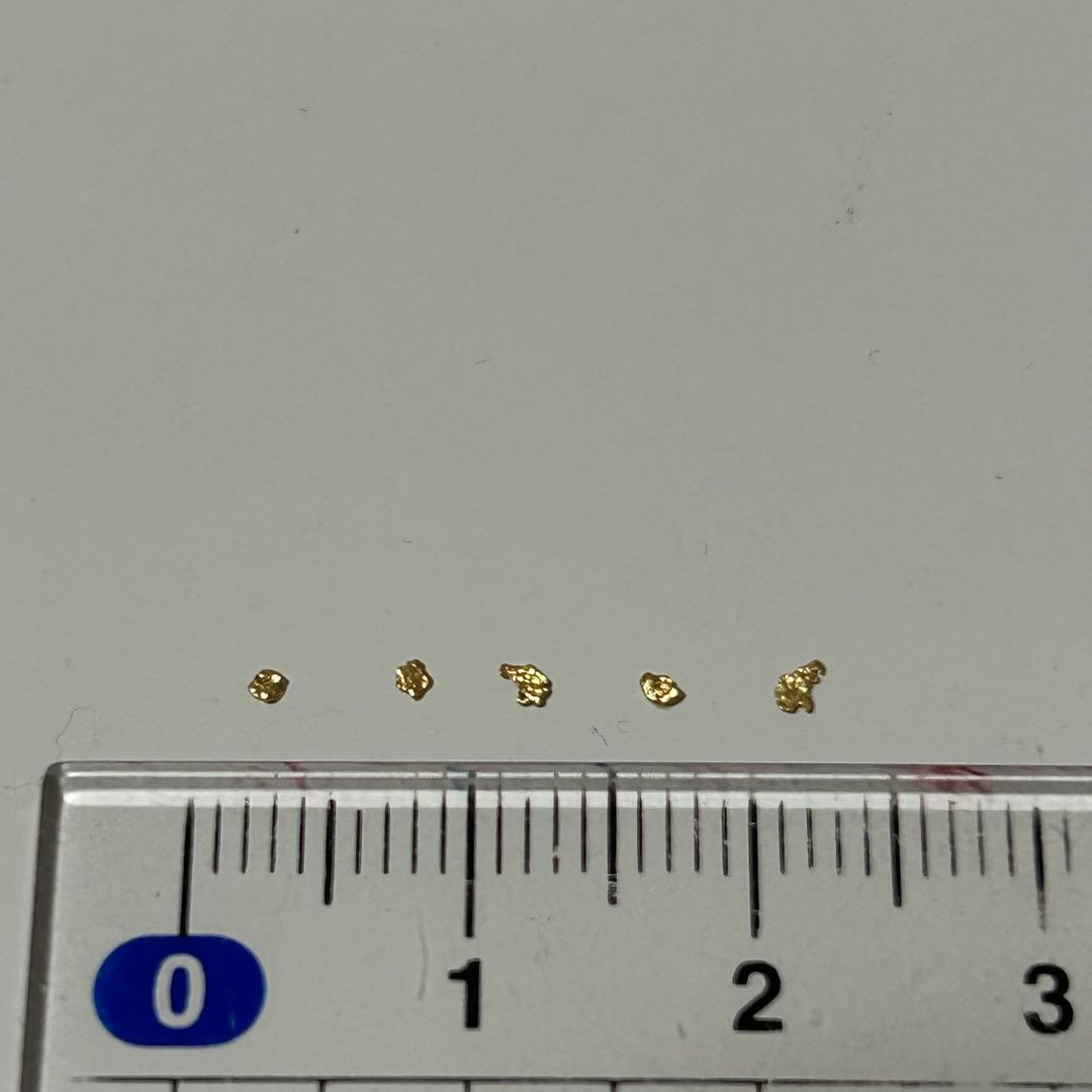 金の粒 佐渡西三川ゴールドパーク採取