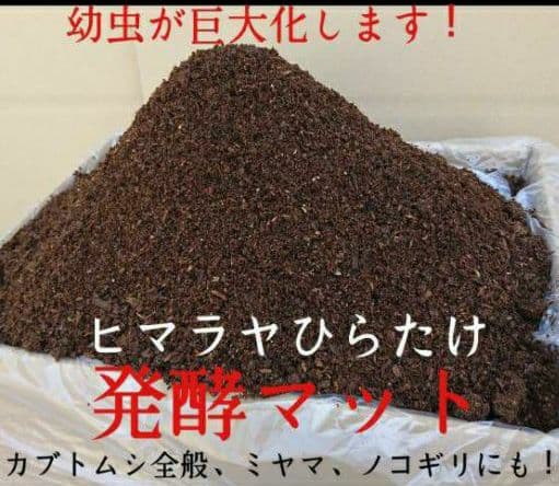 送料無料！40リットル　ヘラクレスも巨大化！ヒマラヤひらたけ発酵カブトムシマット