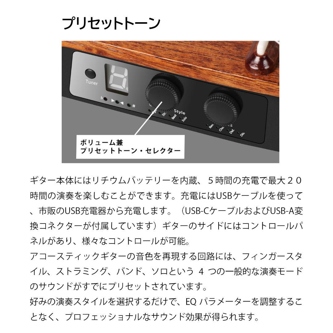 Natasha / NBSG Steel, BK スマートギター