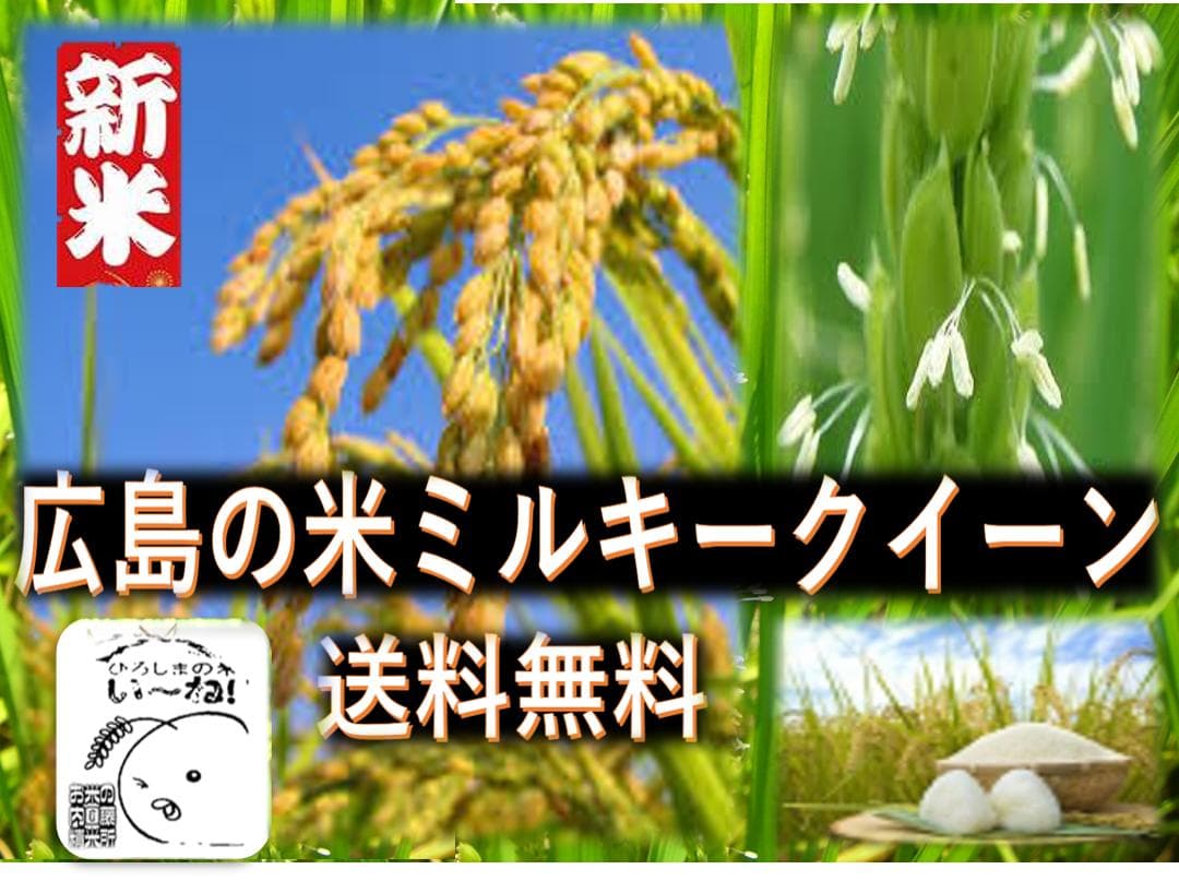 R７ひろしまの米★い～ね！★ミルキークイーン10kg（精米後9㎏）