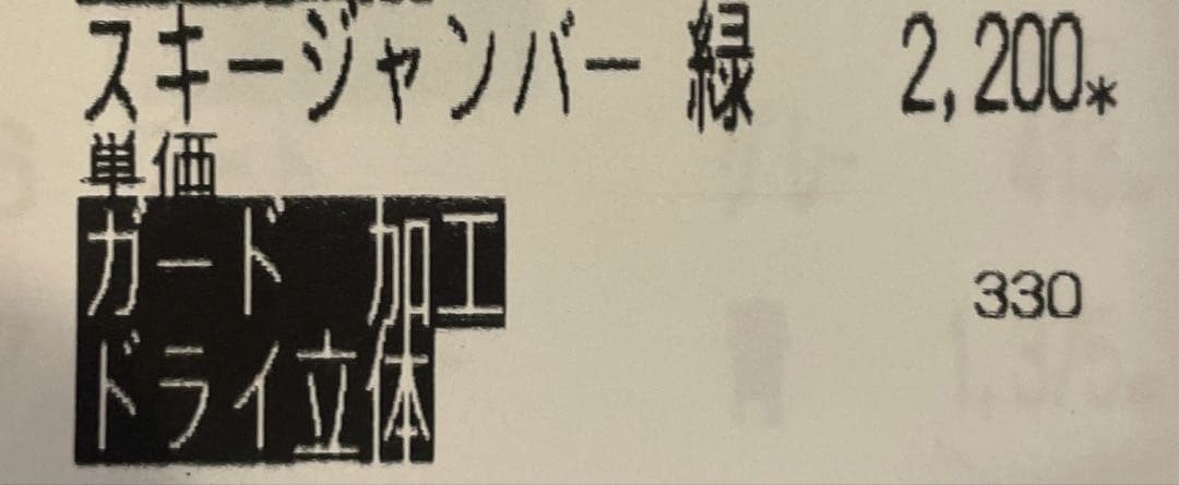 【特価】サロモン　スキーウェア　レディース　クリーニング済