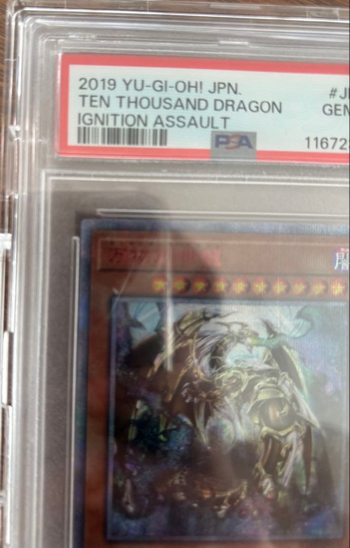 最安値！！万物創世龍 日版 PSA10