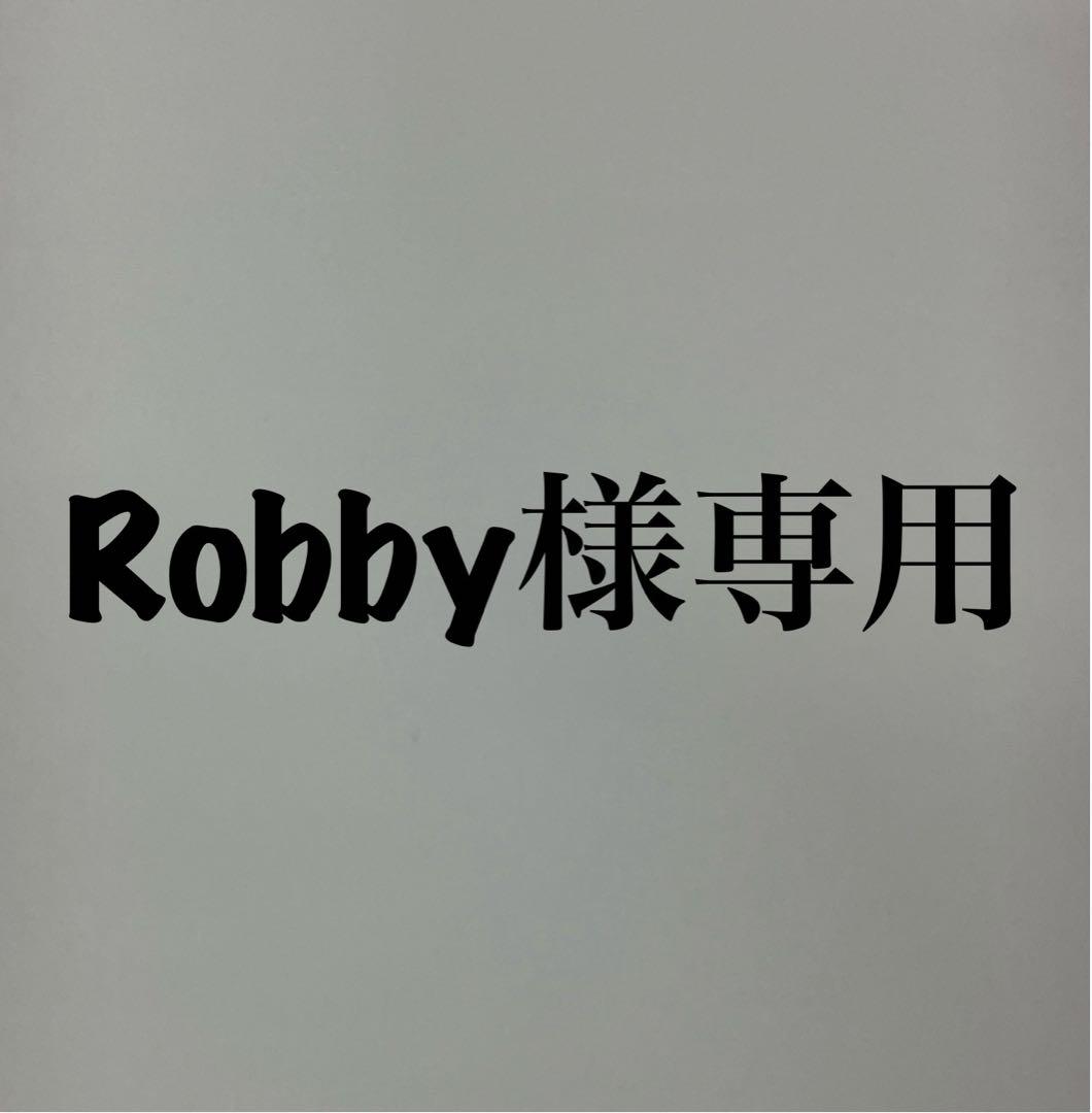 その他 Robby
