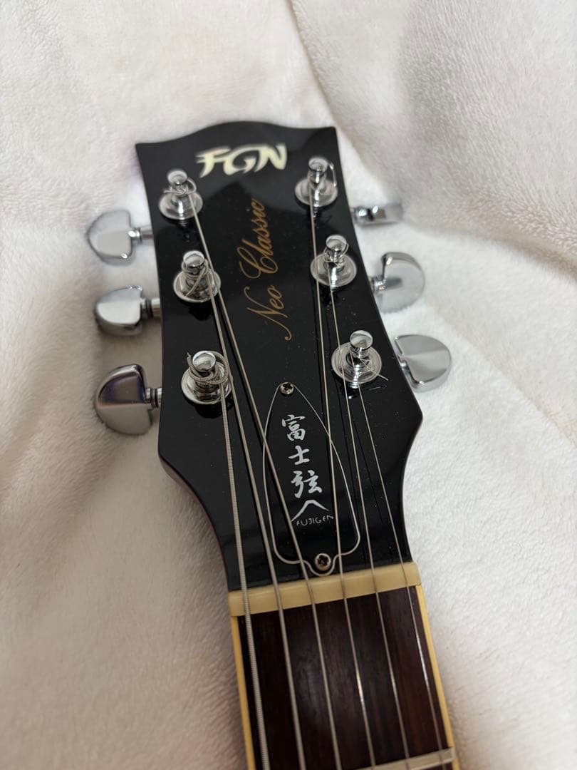 Fujigen FGN レスポール　NLS20RFM