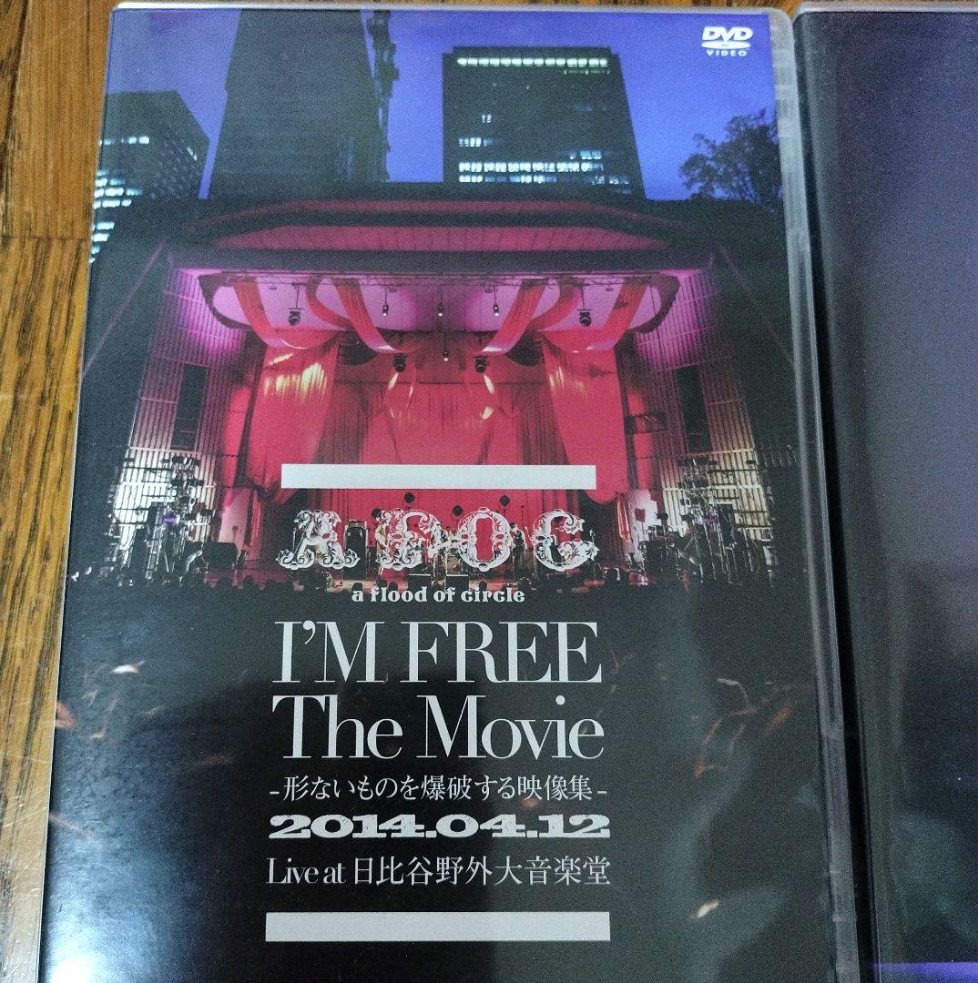 a flood of circle DVD3点 Tシャツ