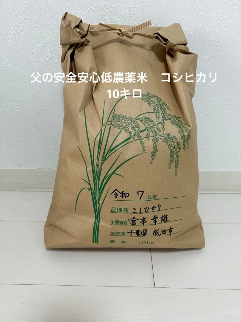 父の安全安心低農薬米こしひかり 10kg 千葉県産 令和7年