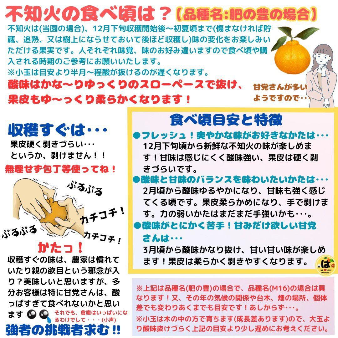 ※確認用　訳あり　大玉MIX箱込み9.5kg以上【露地栽培　不知火　デコポン】