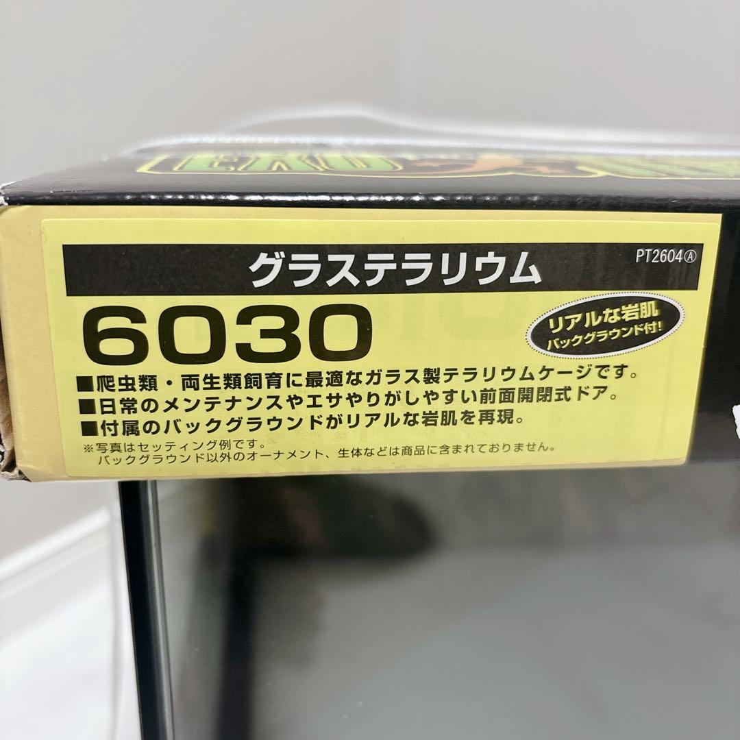 爬虫類　ケージ　ＧＥＸ　エキゾテラ　グラステラリウム　６０３０