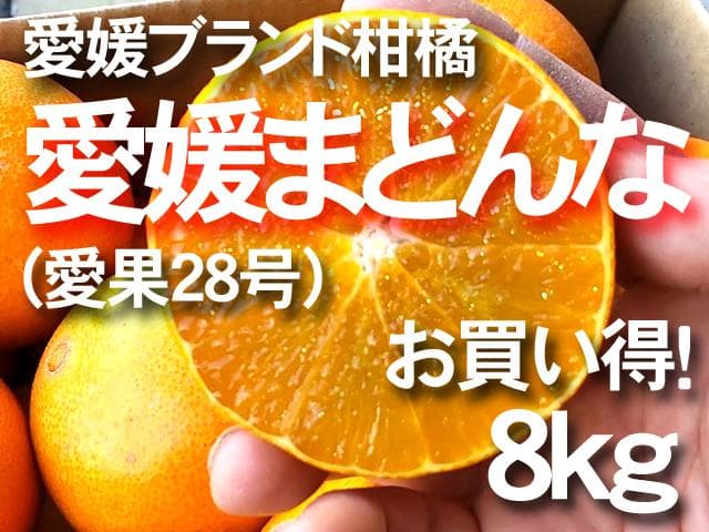 【送料無料】愛媛　中島産　愛媛まどんな（愛果28号）3L　約8ｋｇ1箱