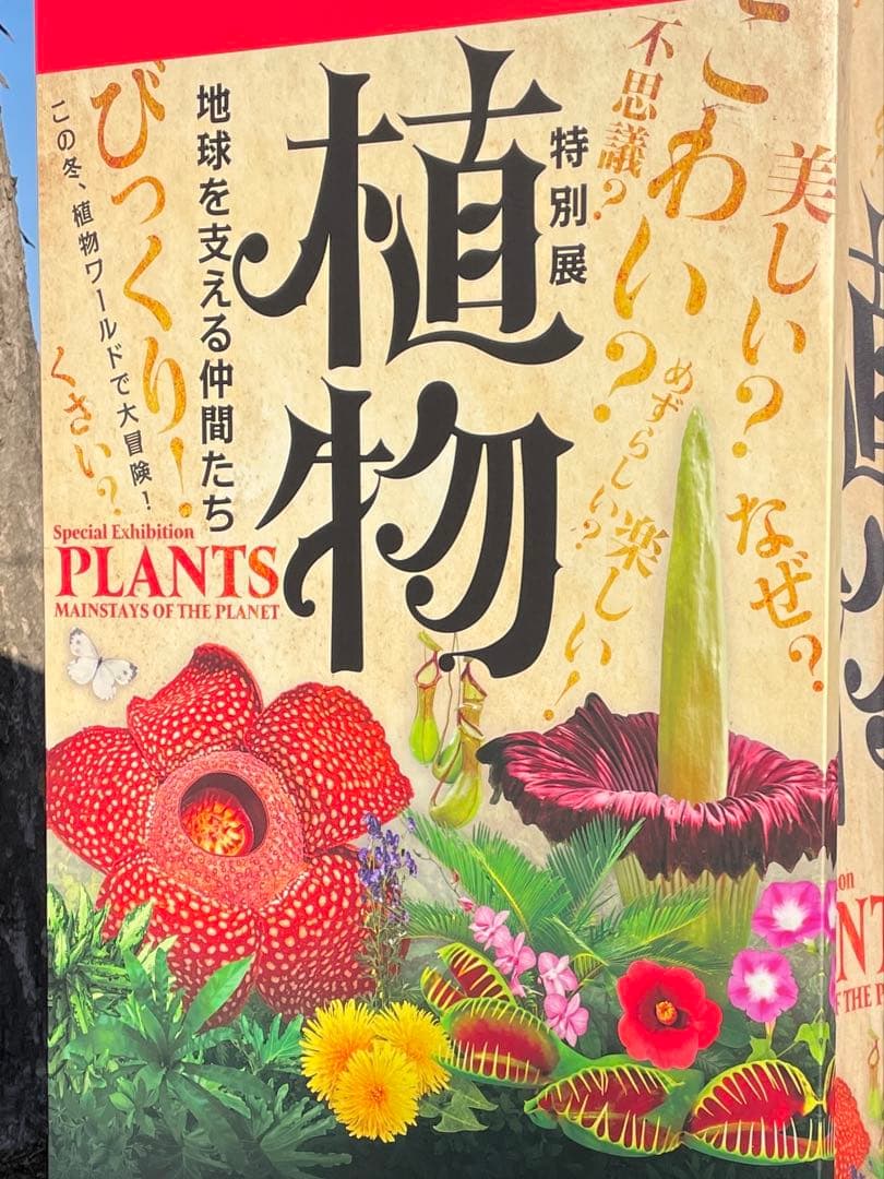 新品未開封　世界最大の花 「ラフレシア」 の クッション　特別展 \"植物\" 限定