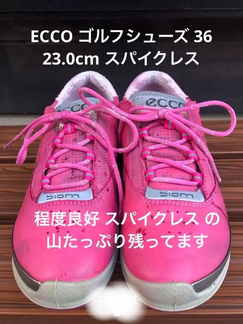ECCOゴルフシューズ 36 23.0cm紐式 スパイクレス