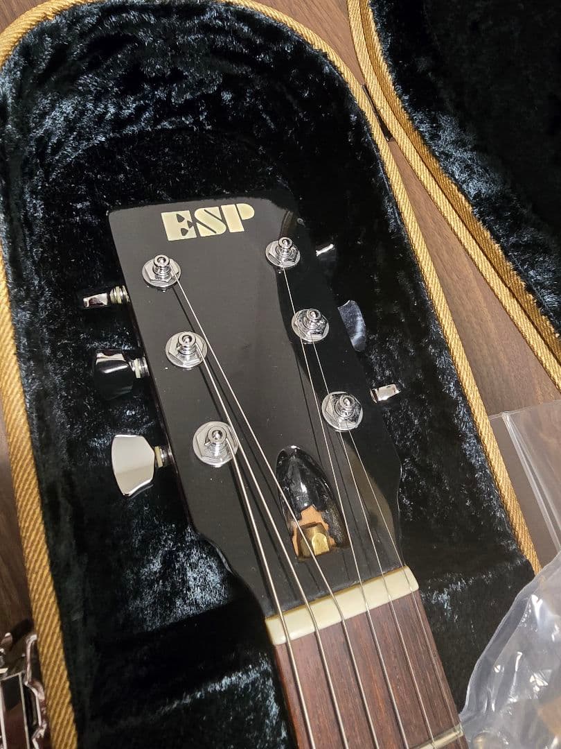 ESP 助六 イグアナ 横山健 シグネイチャーモデル