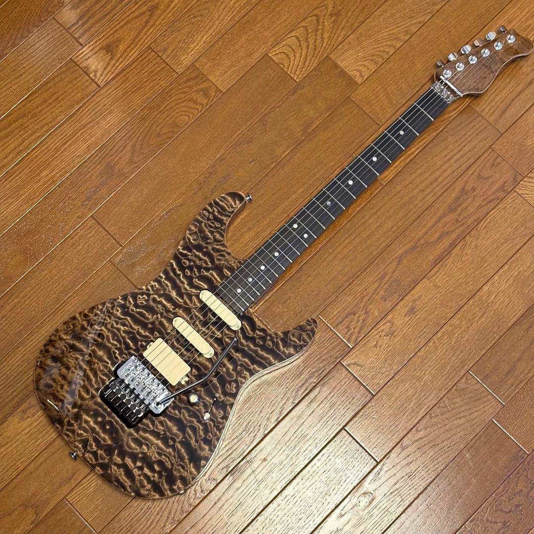 ギター Valley Arts Japan Custom Pro SRE270